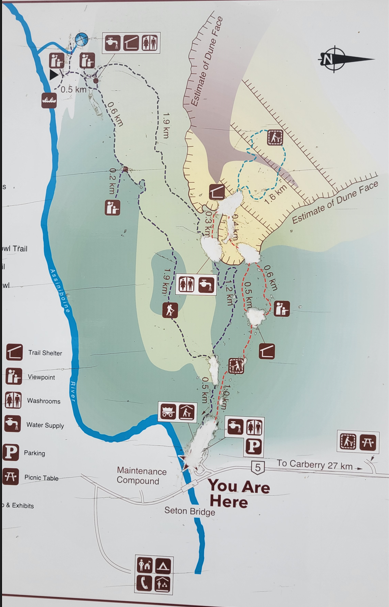Spruce Woods Provincial Park의 Spirit Sands Trail – THE DIVERSITY TIMES